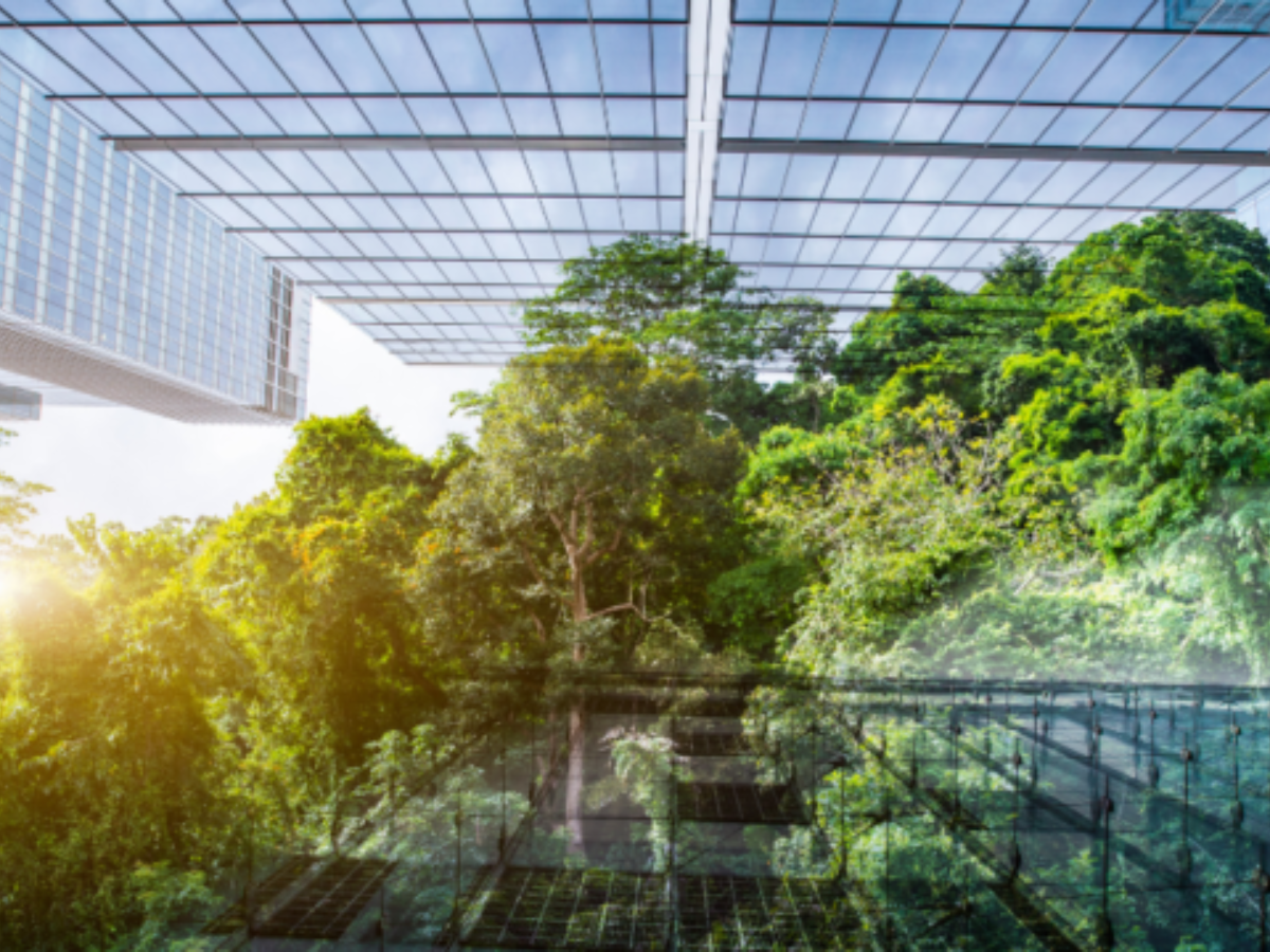 How can supervisory boards facilitate the transition to a new ...