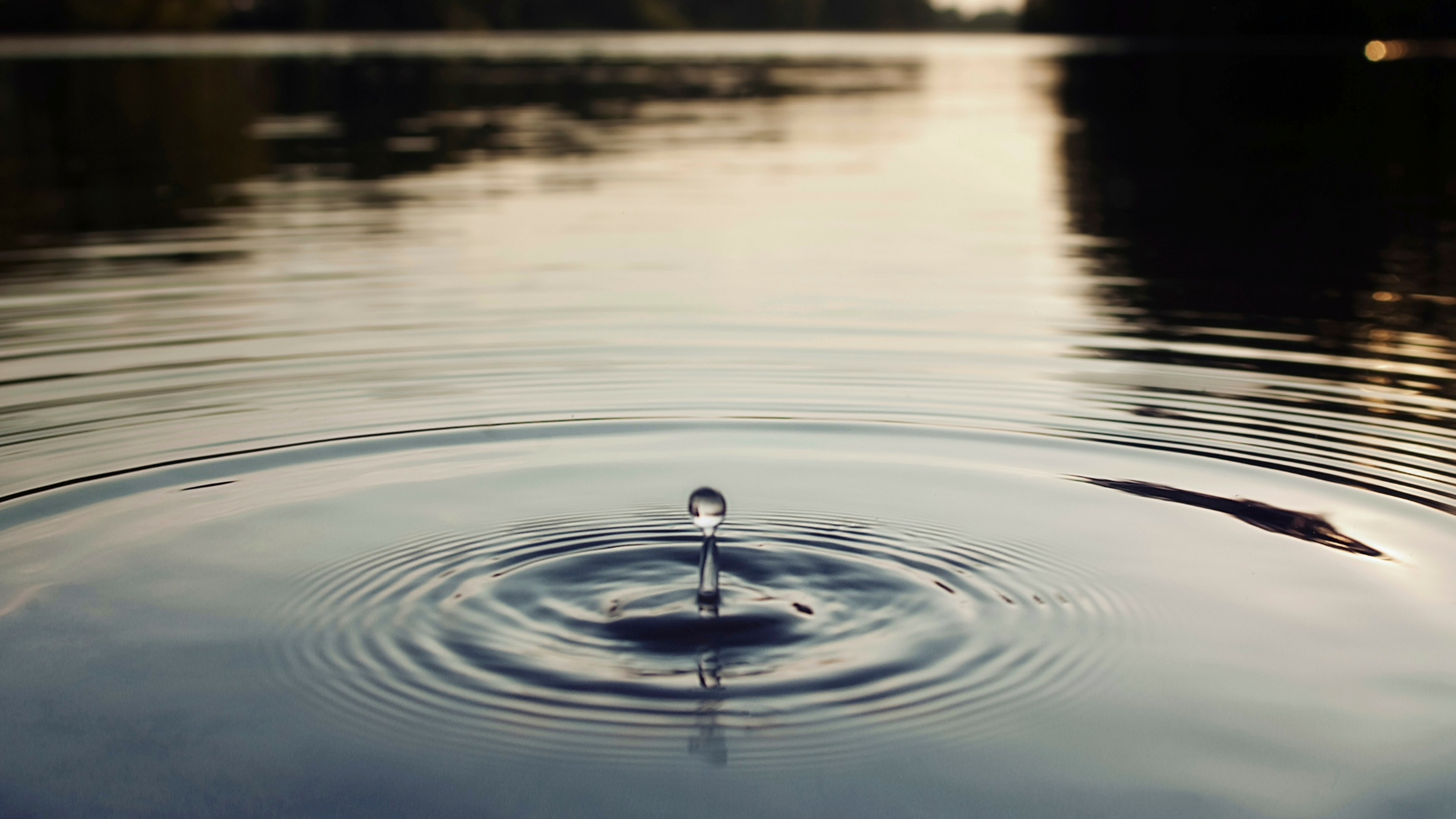 Water Resilience Strategy: everything you need to know - Publyon